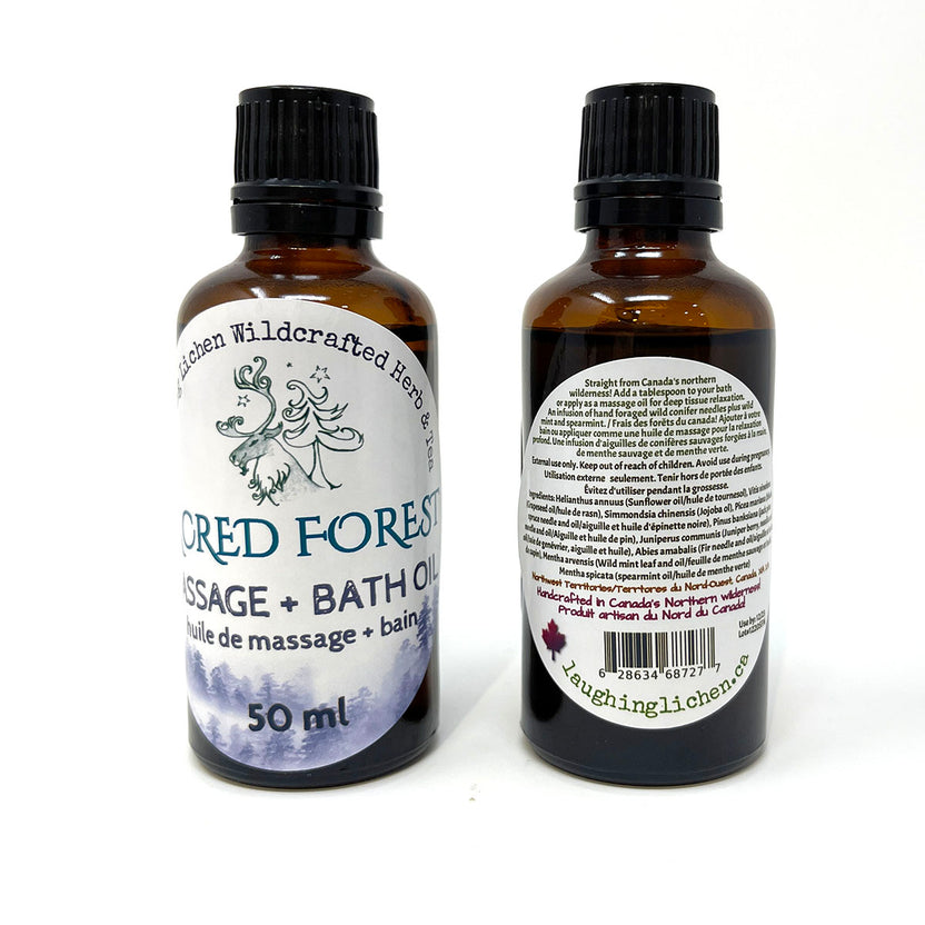 Body – Tlicho Arts