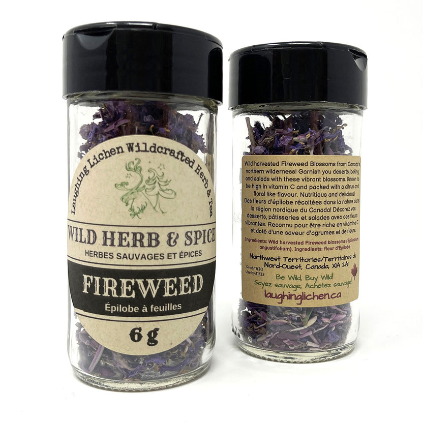 Body – Tlicho Arts