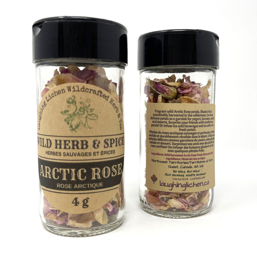 Body – Tlicho Arts